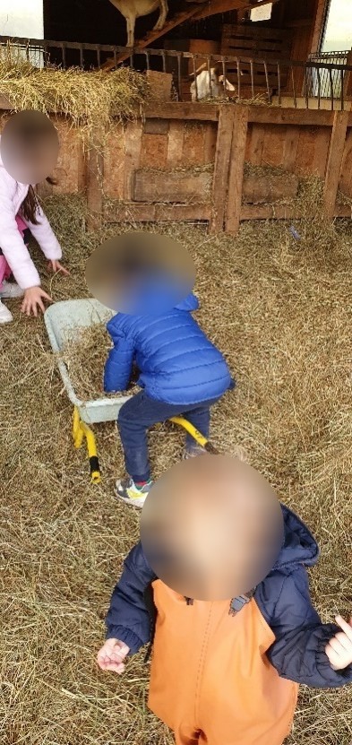 Activités – Assistante Parentale à Steinsel – Luxembourg